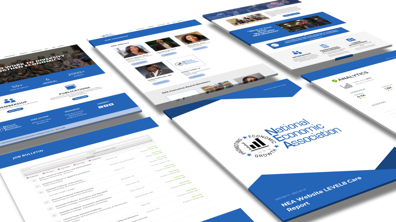 National Economic Association - Digital + Strategy Agency